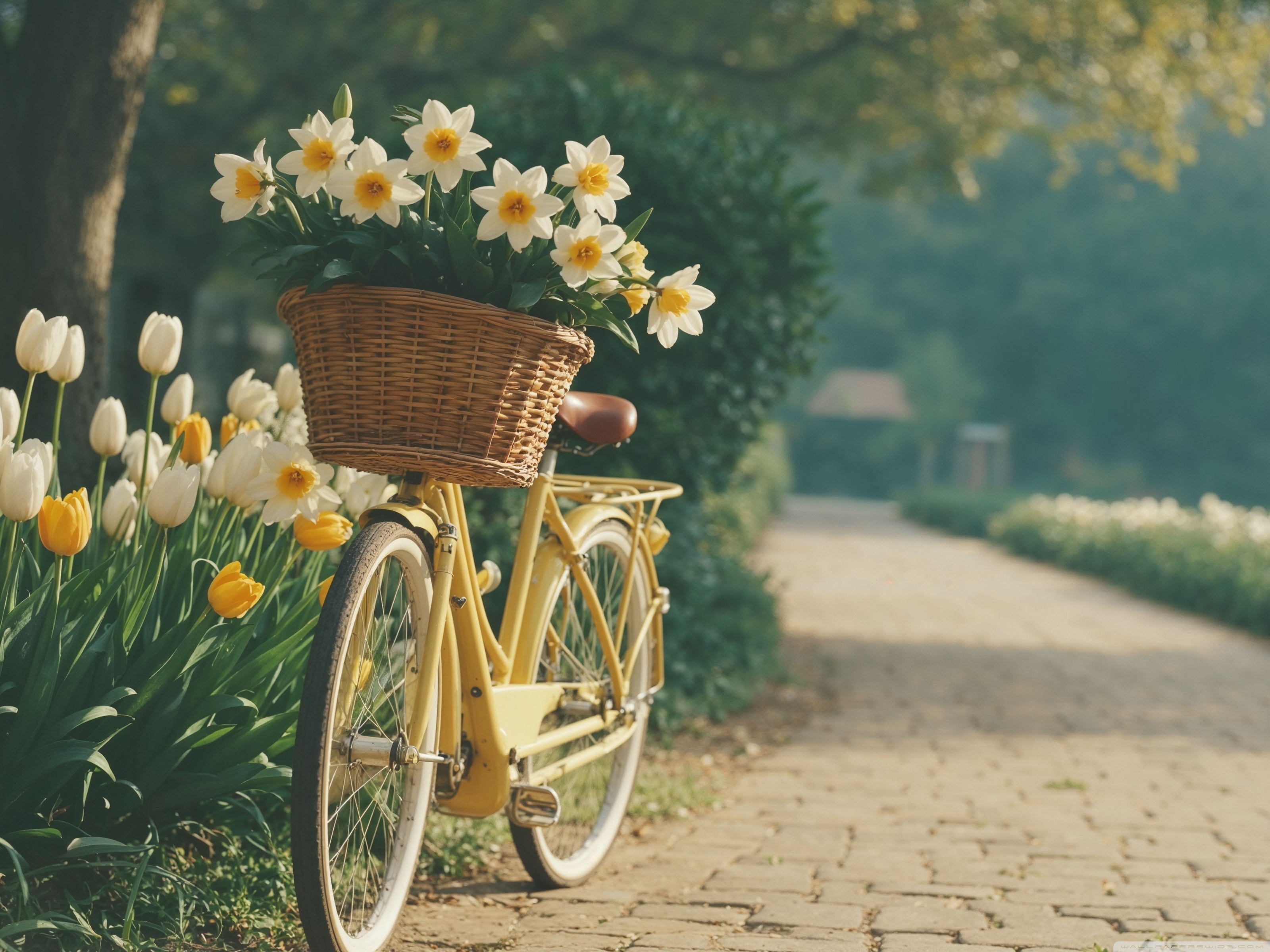 A Nostalgic Scene of a Vintage Bicycle in Spring 4K UHD Wallpaper for ...