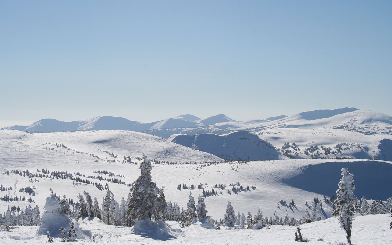 Backcountry of Powder King Ski Resort, Pine Pass, British Columbia ...