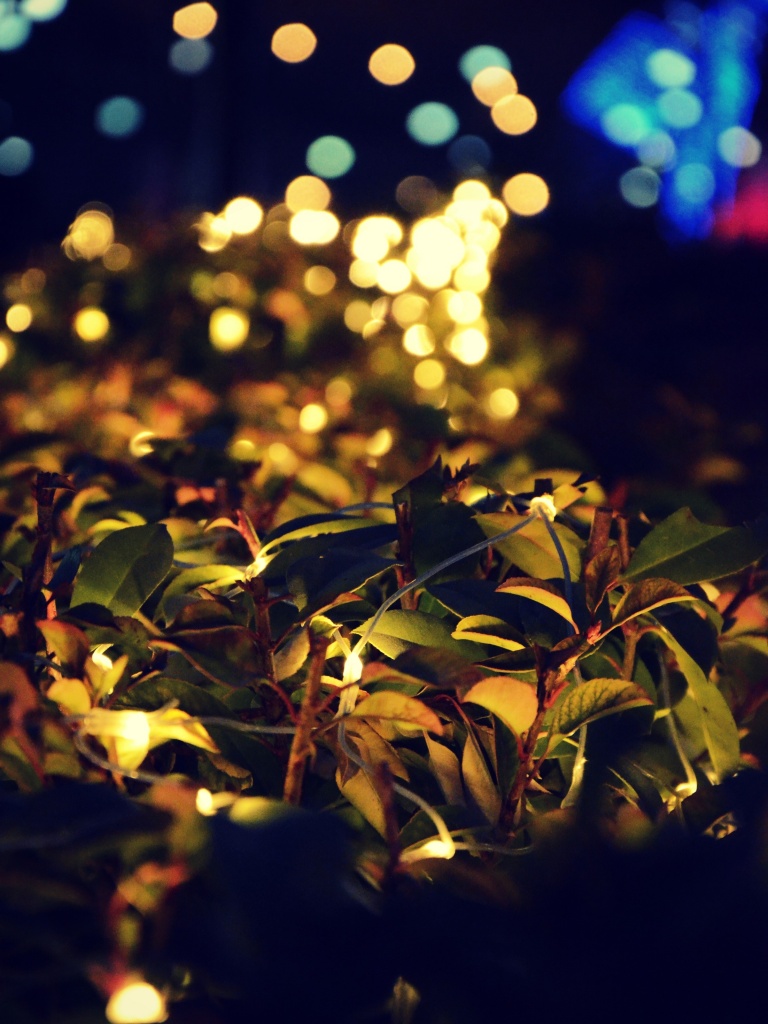 Bokeh, Erbil City Ultra HD Wallpaper for 4K UHD TV & Desktop ...