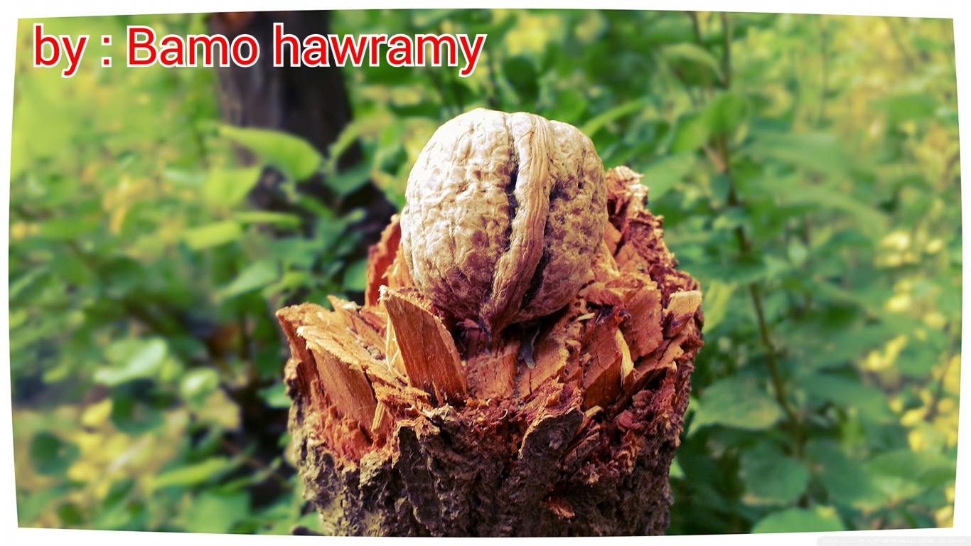 byara 4K UHD Wallpaper for UltraHD Desktop and TV