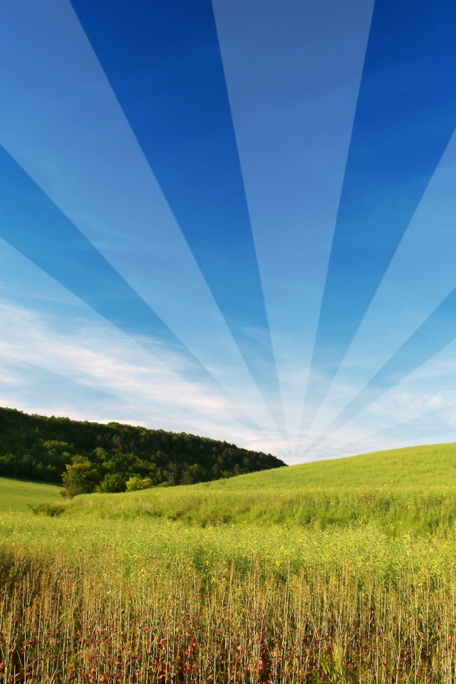 Creative Design 12 Ultra HD Desktop Background Wallpaper for : Multi ...