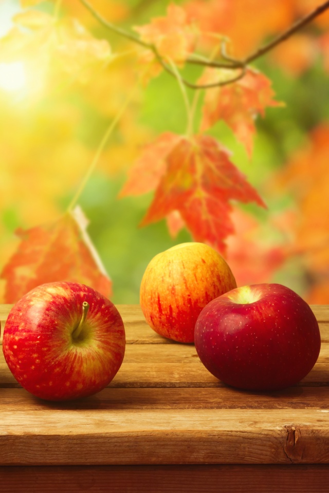 Fall Apple Orchard Wallpaper