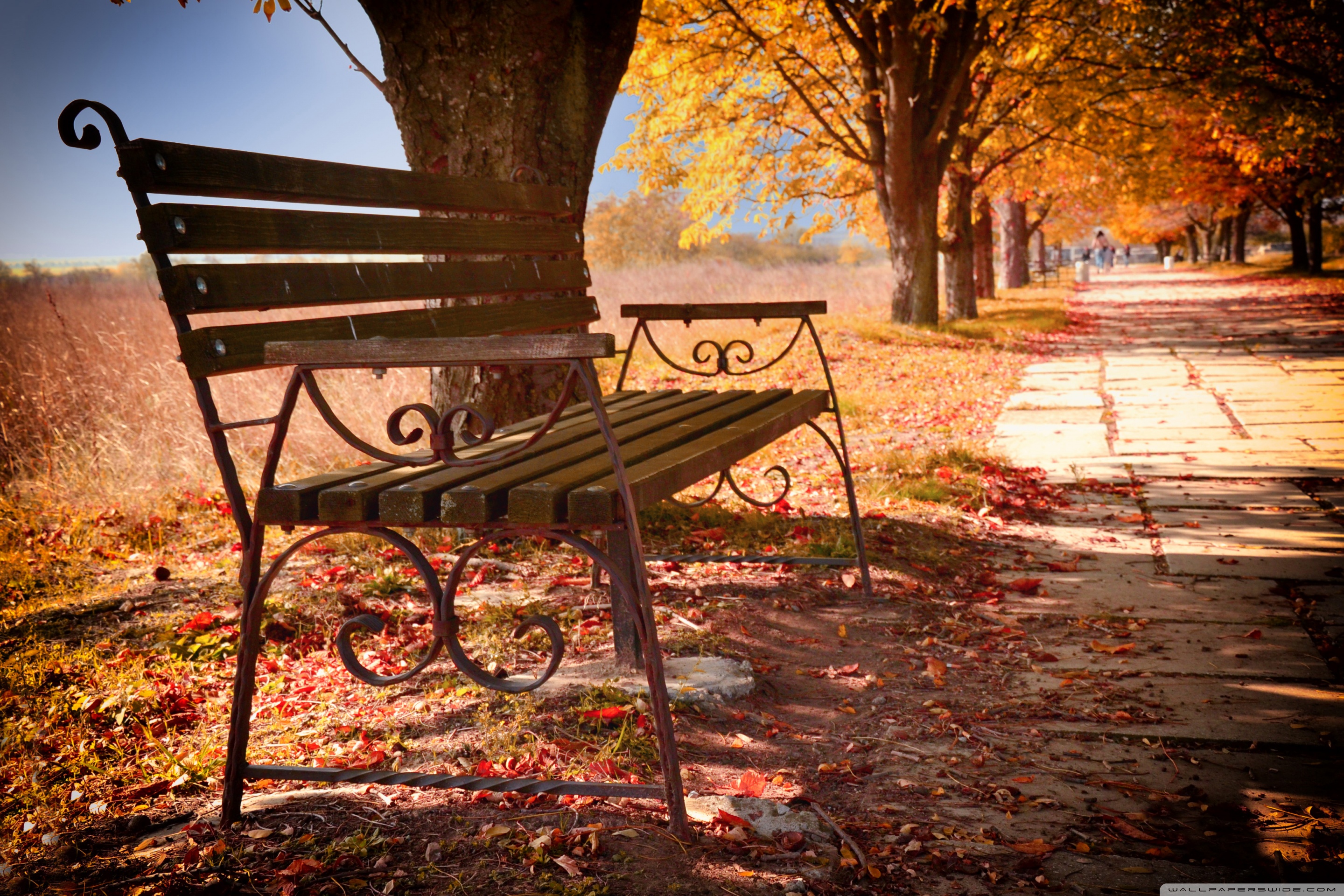 Fall Colors in the First Bulgarian Capital Pliska, Founded 681 AC 4K ...