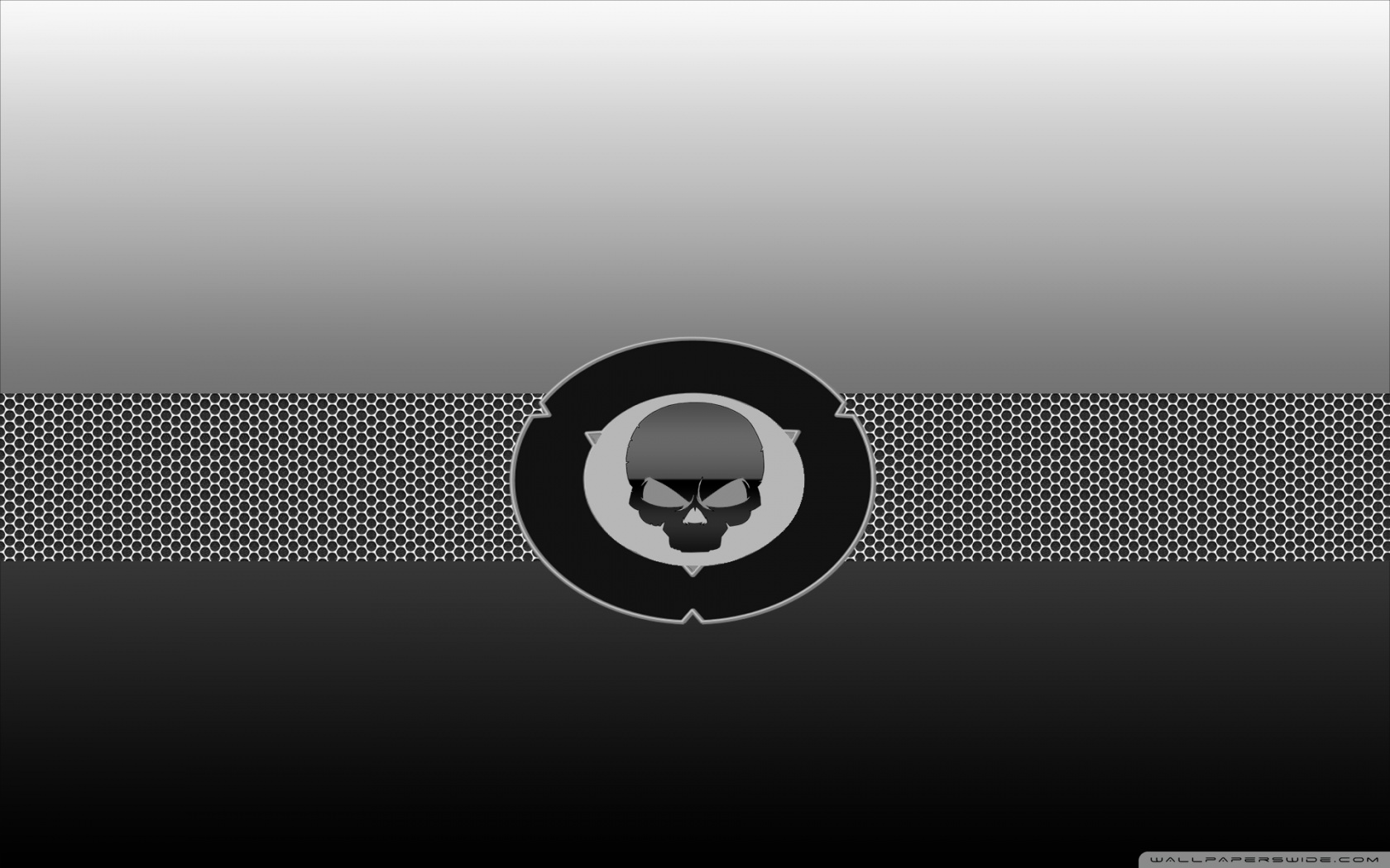 Gray Skull Ultra HD Desktop Background Wallpaper for : Widescreen ...