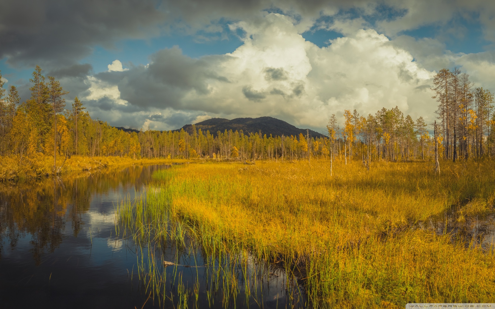 Kesanki River, Lapland, Autumn, Finland, Nordic Nature, Fall Colors ...
