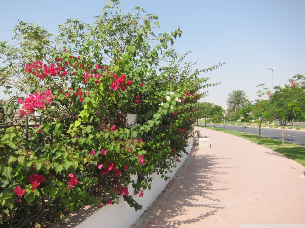 Kish 4K UHD Wallpaper for UltraHD Desktop and TV