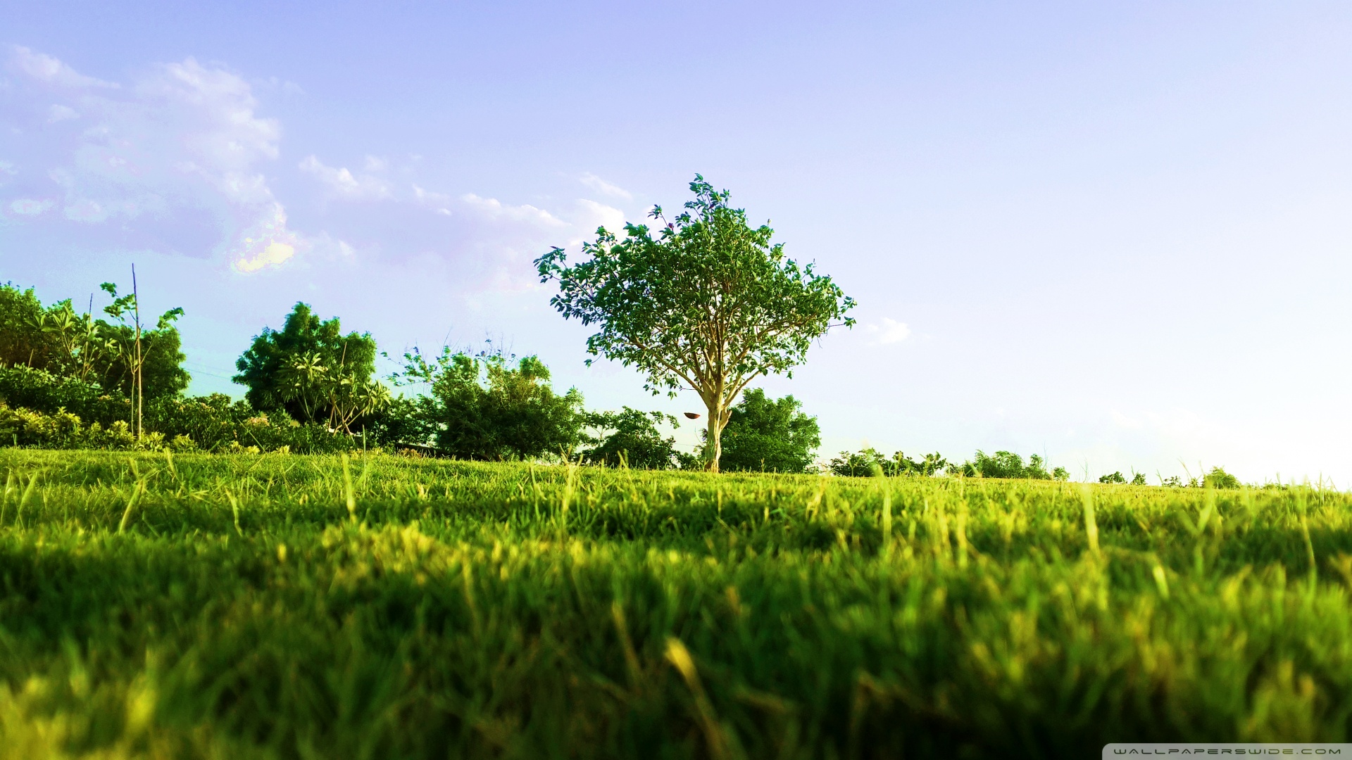 Nature Ultra HD Wallpaper for 4K UHD TV & Desktop