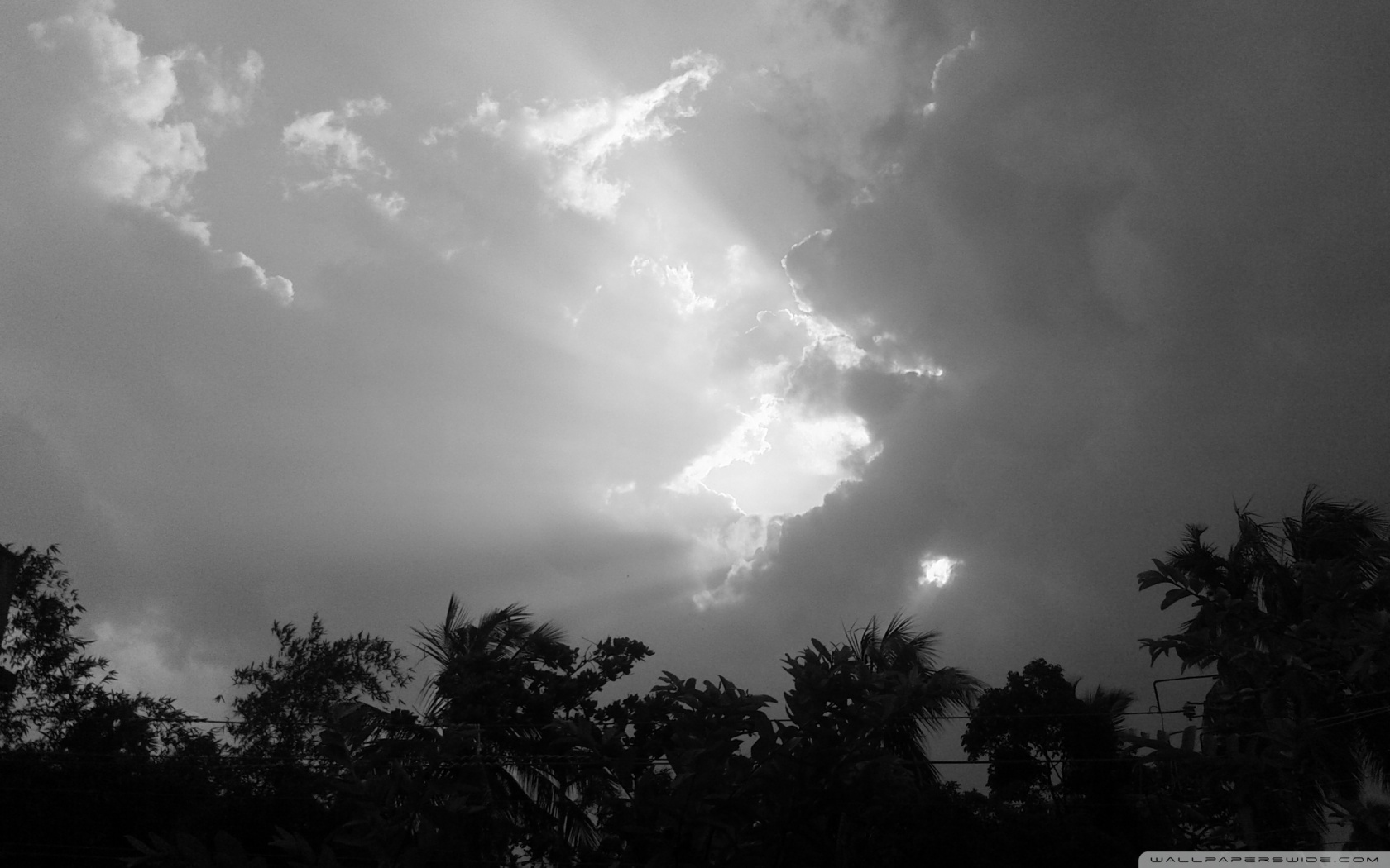 ray....... Ultra HD Desktop Background Wallpaper for 4K UHD TV ...