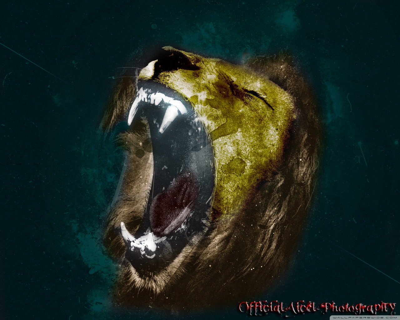 Roar UltraHD Wallpaper for 4K UHD TV & Desktop