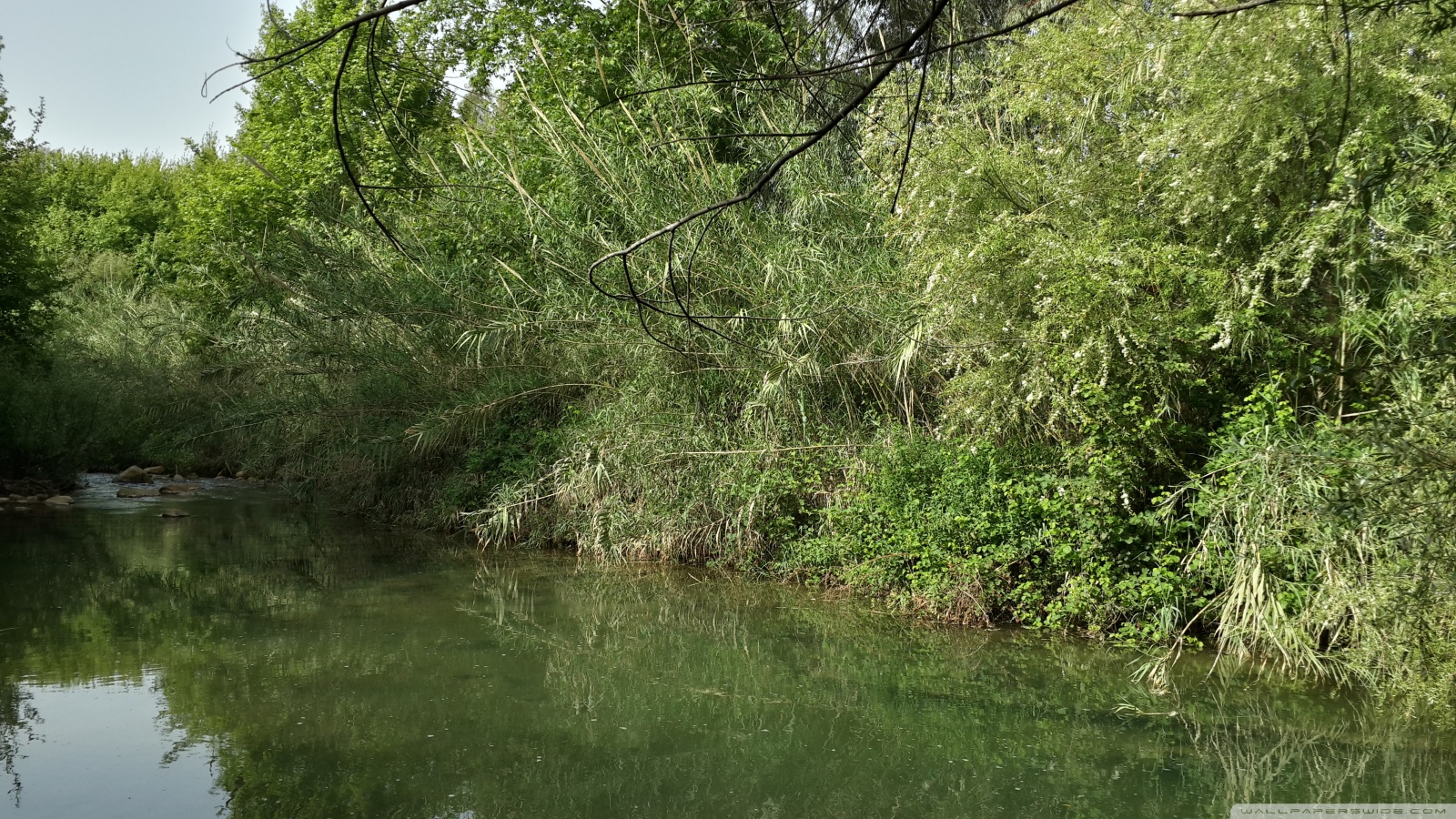 Snir River 4K UHD Wallpaper for UltraHD Desktop and TV