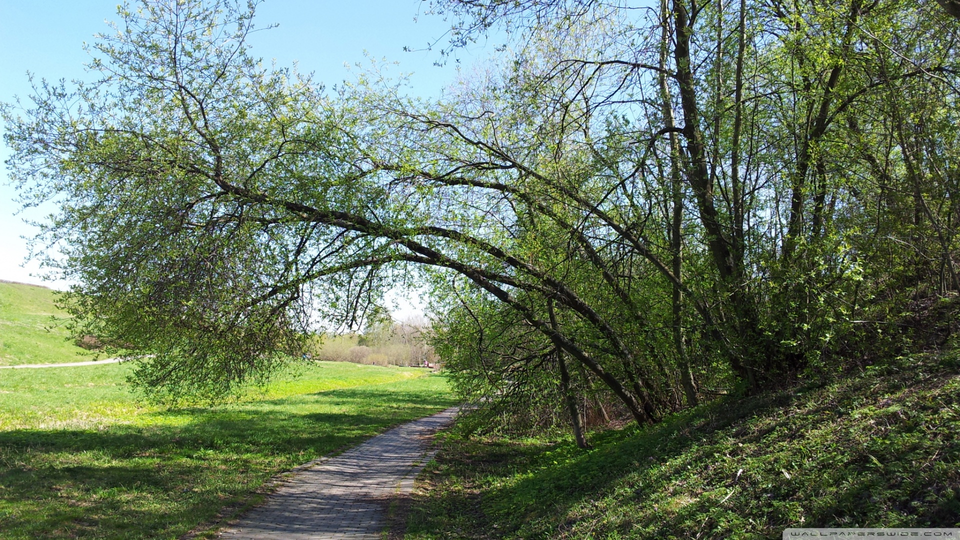 Spring in Moscow 3 4K UHD Wallpaper for UltraHD Desktop and TV