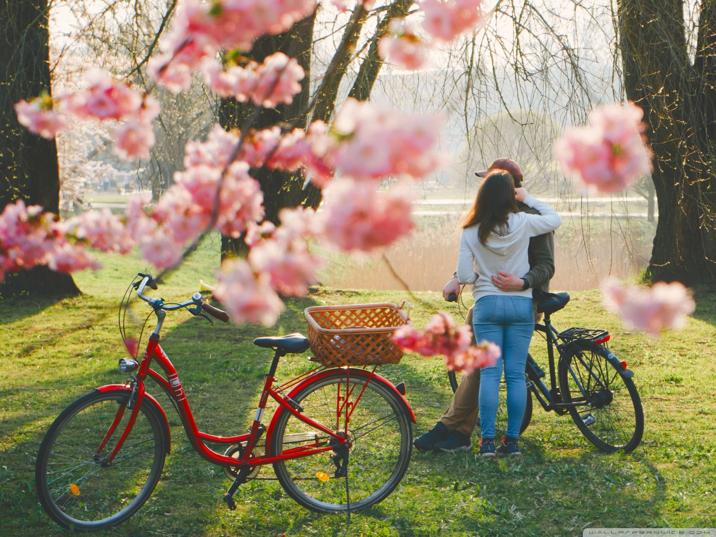 Spring, Love, Hug, Couple, Romantic, Park, Vintage Bicycles 4K UHD ...