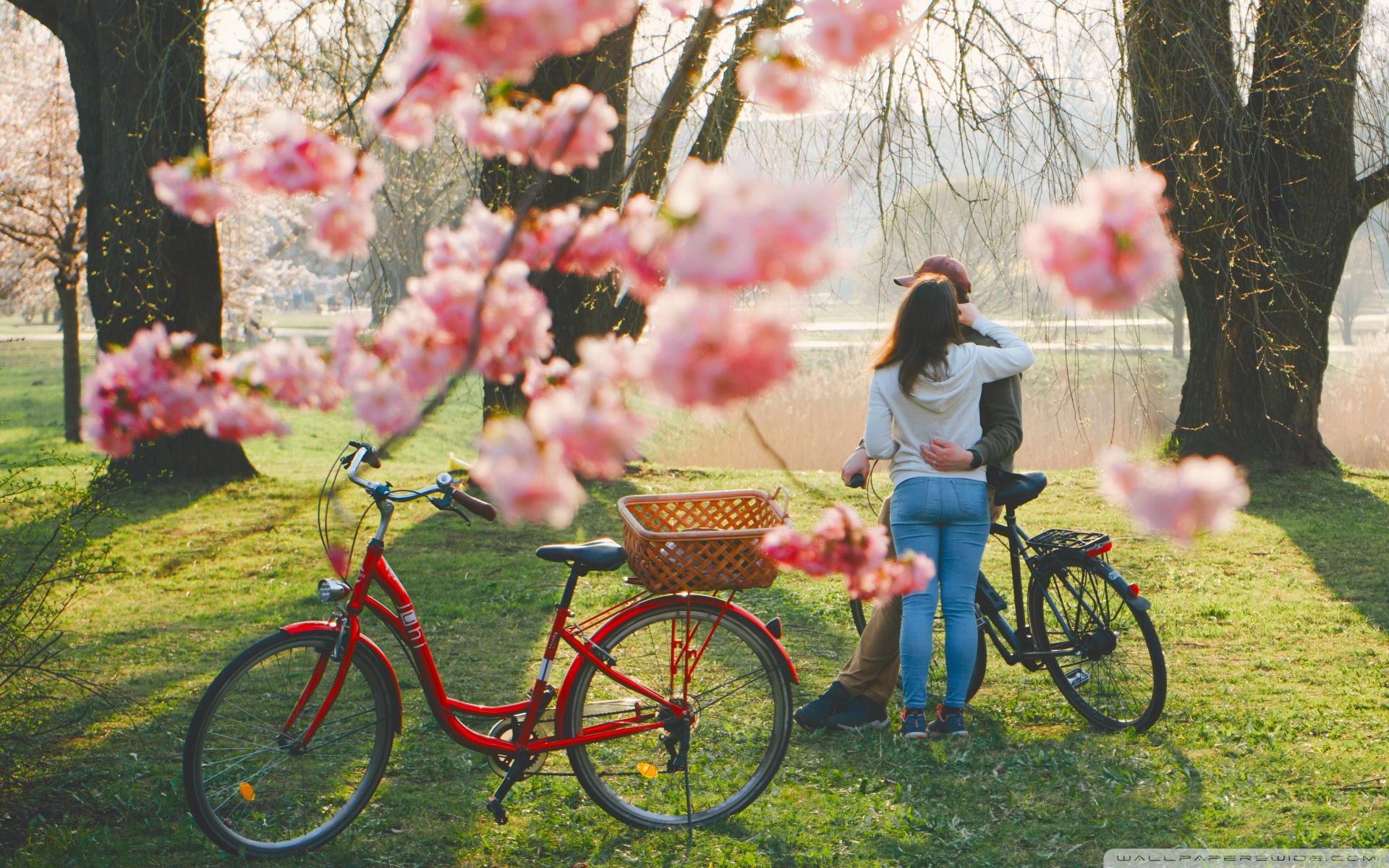 Spring, Love, Hug, Couple, Romantic, Park, Vintage Bicycles 4K UHD ...