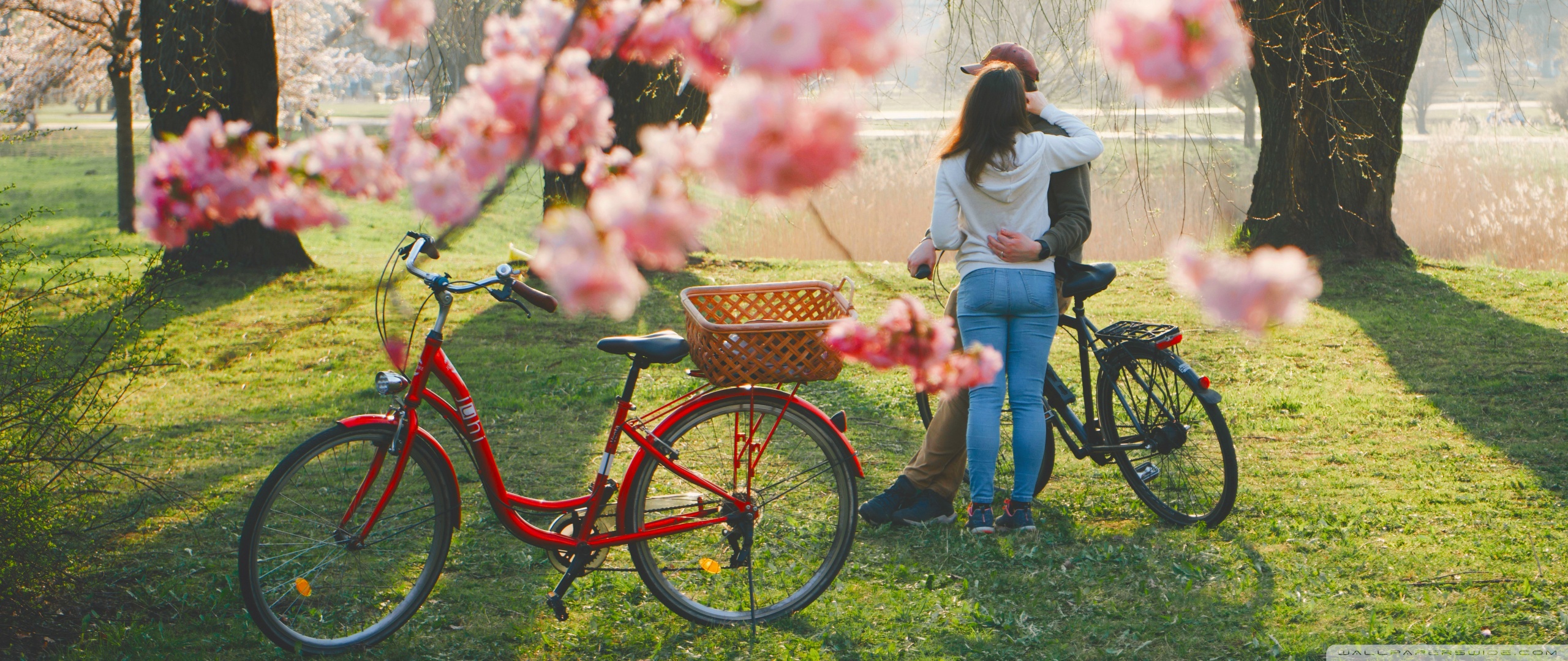 Spring, Love, Hug, Couple, Romantic, Park, Vintage Bicycles 4K UHD ...