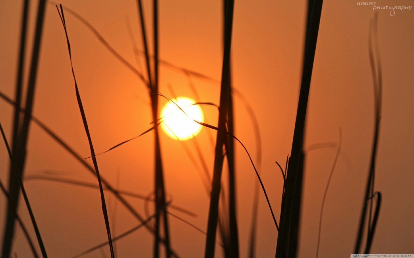 Sunset 4K UHD Wallpaper for UltraHD Desktop and TV : Widescreen and ...