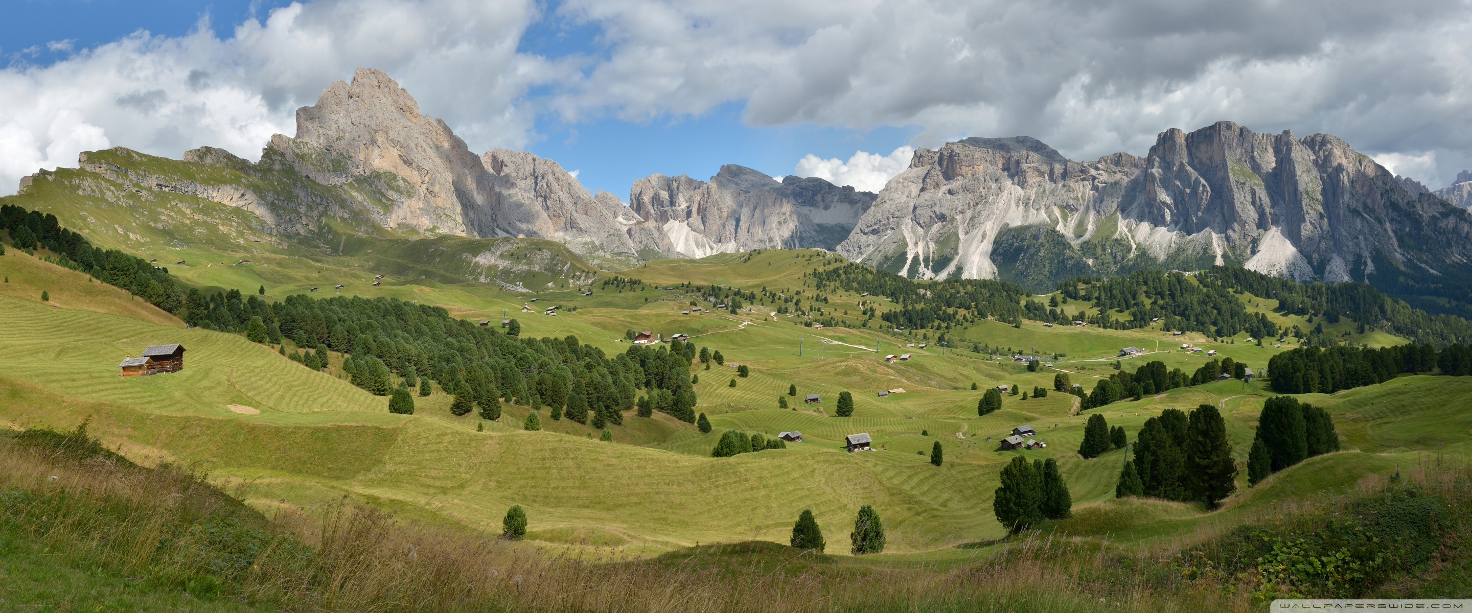The Mastla Alpine meadows, the Odles and Stevia peaks in Groden, South ...
