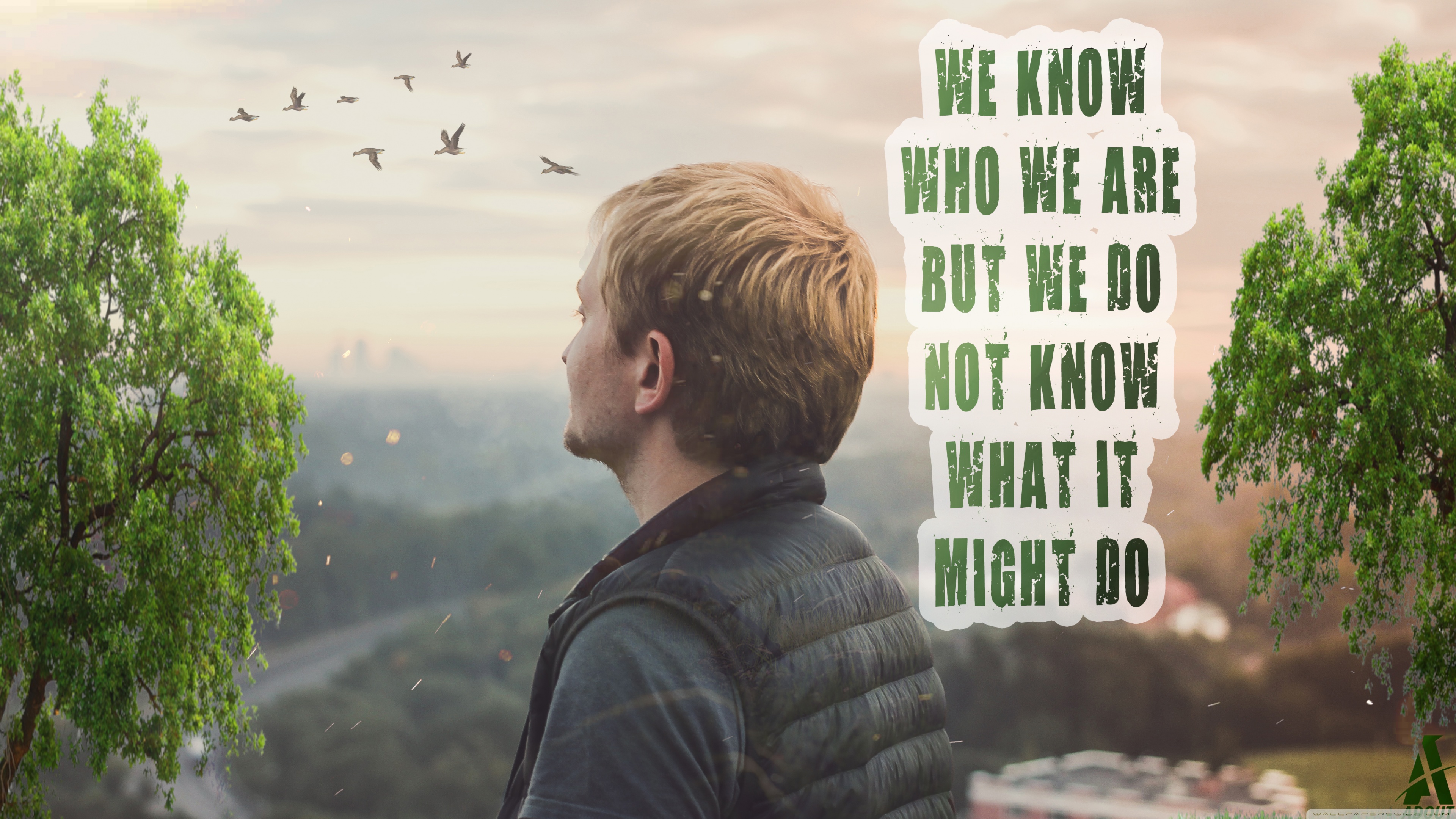 We know who we are, but we do not know what it might do Ultra HD ...